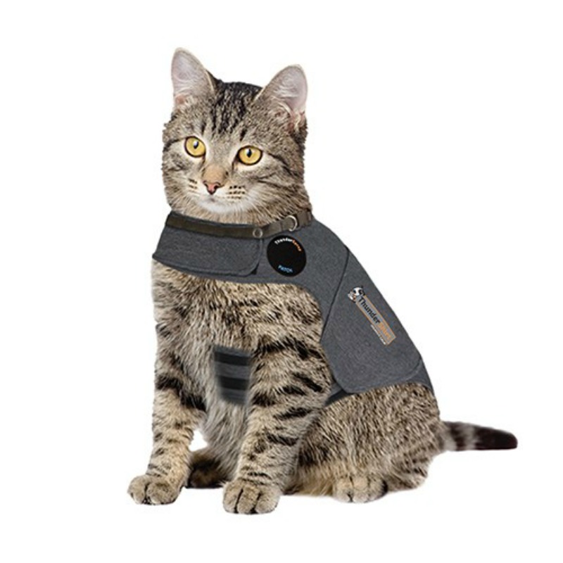 ThunderShirt for Cats – Cat Anxiety Solution | Sintra the Cat