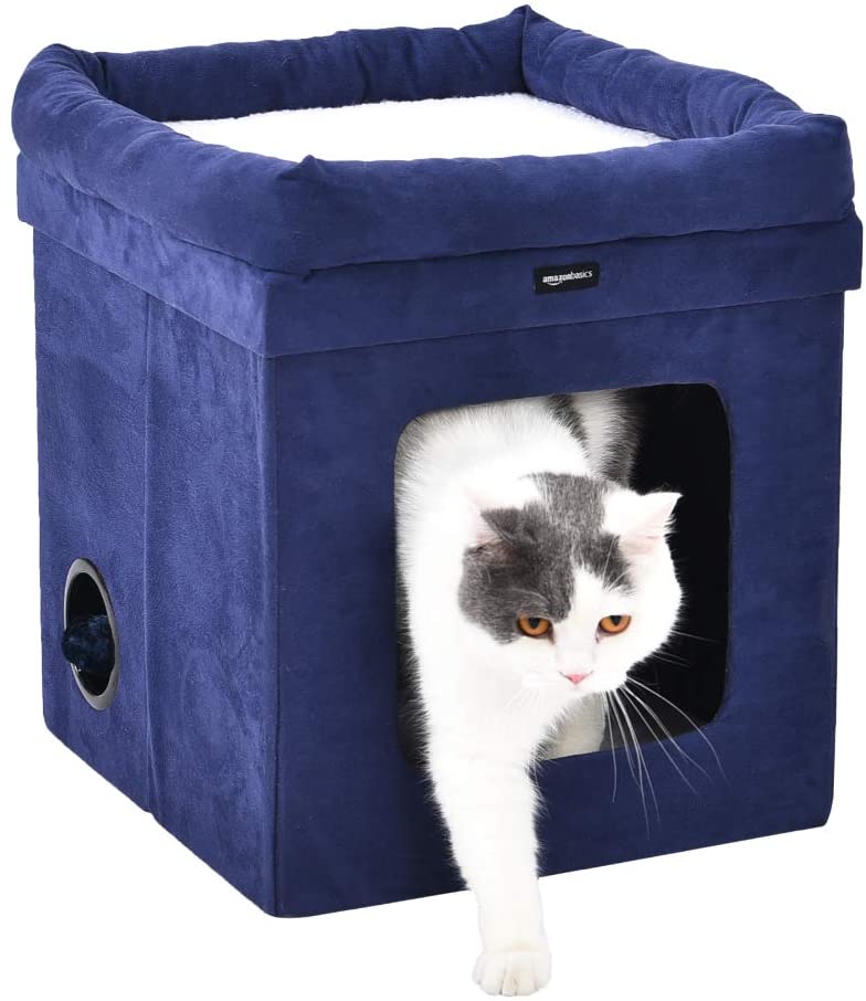 AmazonBasics Collapsible Cat House with Bed | Sintra the Cat